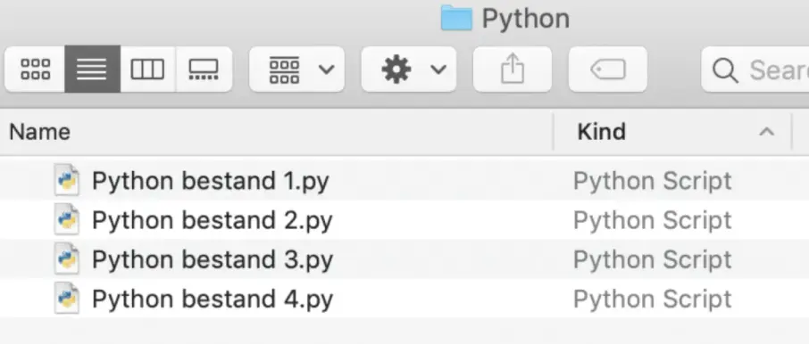 Python bestanden: informatie over verschillende types Python bestanden
